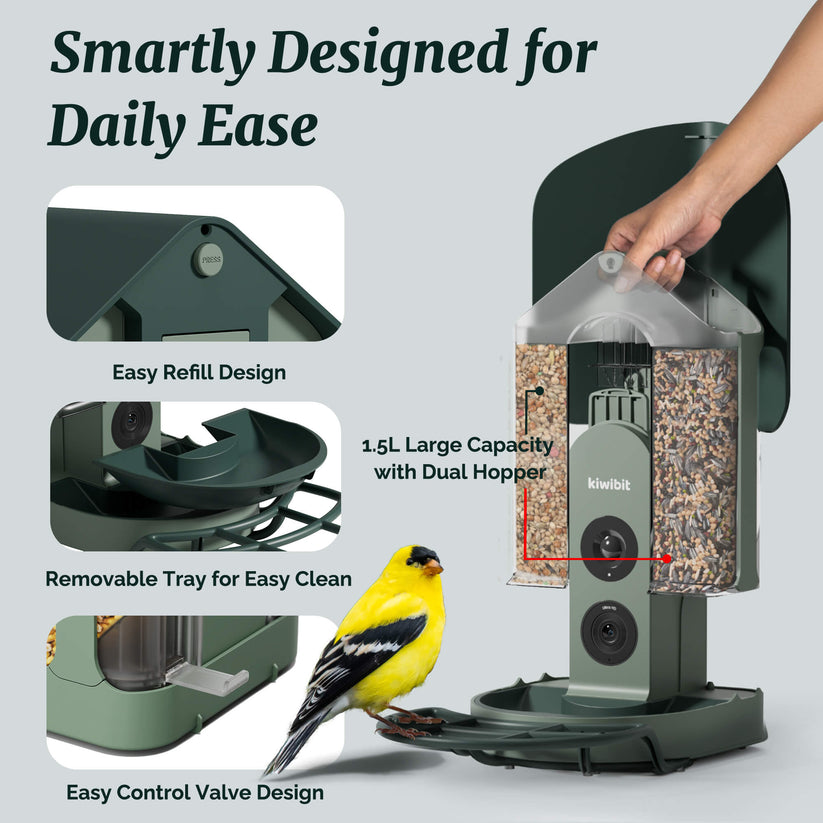 4K Smart Bird Feeder with AI Recognition & Solar – Kiwibit Beako™ – Kiwibit