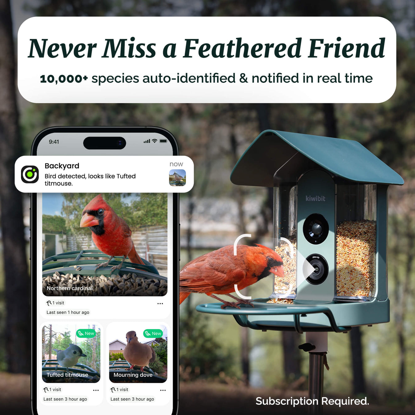4K Smart Bird Feeder with AI Recognition & Solar – Kiwibit Beako™ – Kiwibit