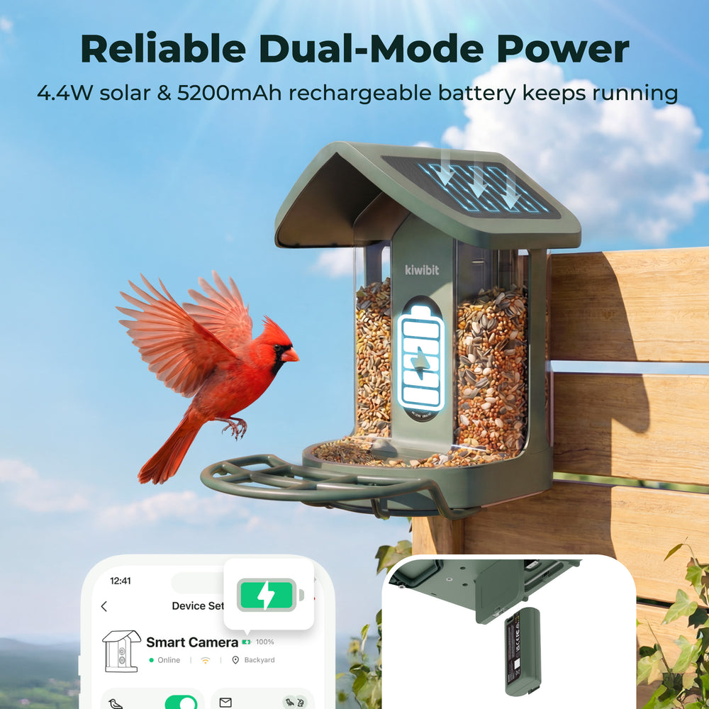 Kiwibit Bird Feeder 2 4K AI Camera with Solar Panel – Kiwibit