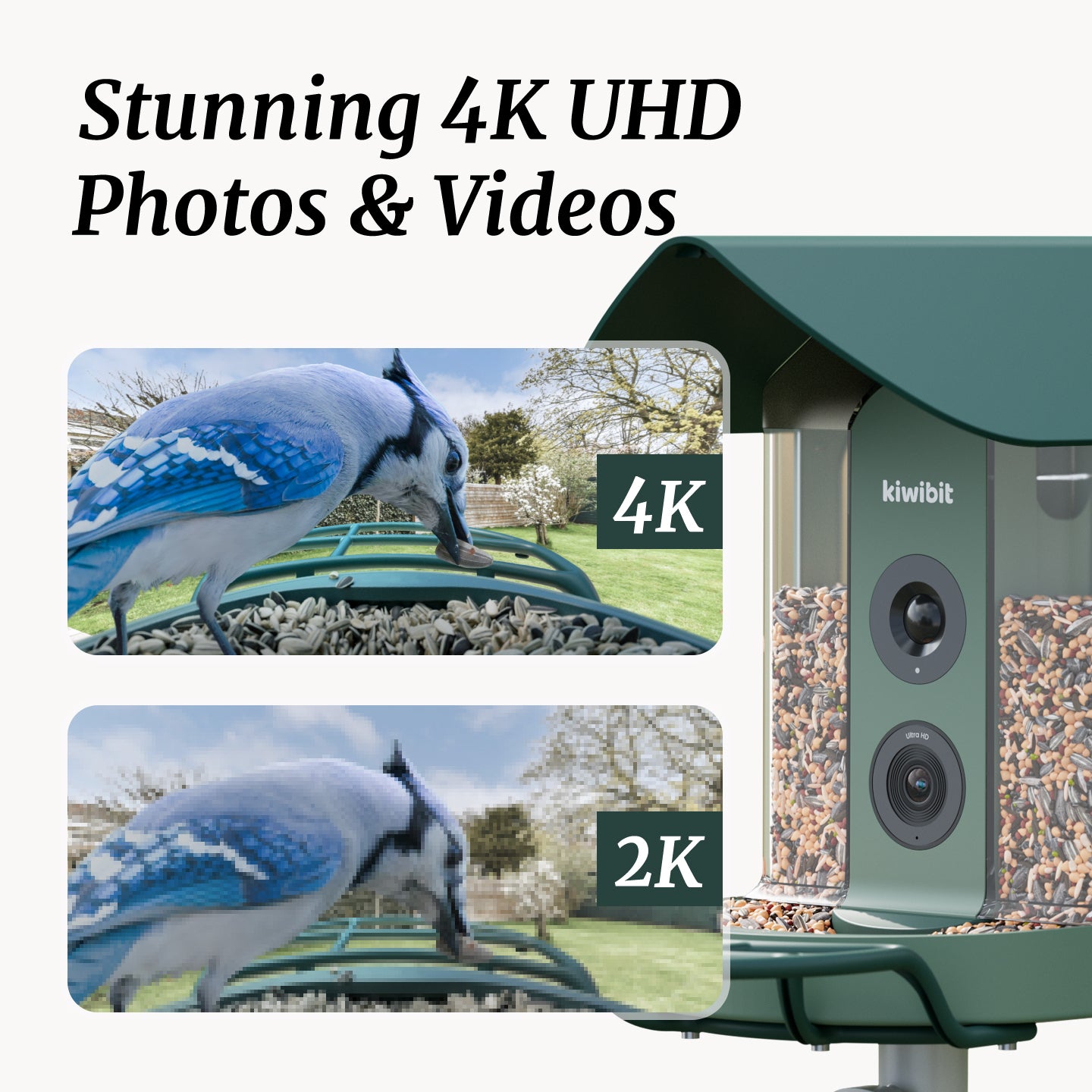 4K Smart Bird Feeder with AI Recognition & Solar – Kiwibit Beako™ – Kiwibit